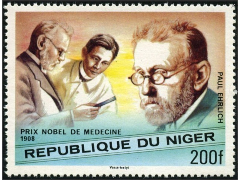 항체형성 과정을 잘못 설명한 곁사슬 이론(side-chain theory)-에를리히(1908)