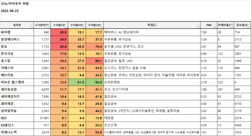 2022년 8월 23일 특징종목특징주 시간외 단일가 정리