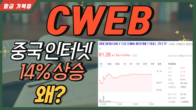CWEB 중국 인터넷 ETF 14% 상승 그리고 네오팜