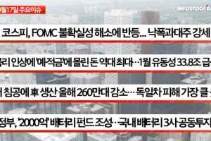 [0317마감체크] FOMC 불확실성 해소, SK하이닉스·LG화학 등 낙폭과대 대형주 급등