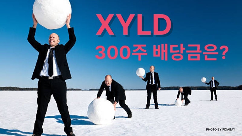 배당률 13% 고배당 ETF 'XYLD' 300주 보유시 배당금은? XYLD 배당금으로 XYLD 재투자!!