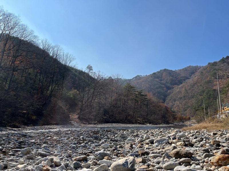 늦가을의 산천어