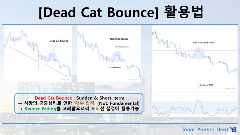 [Price Action #15] Dead Cat Bounce 활용법