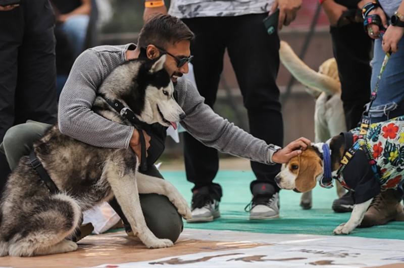 Dr. Tail hopes to keep pets in good shape