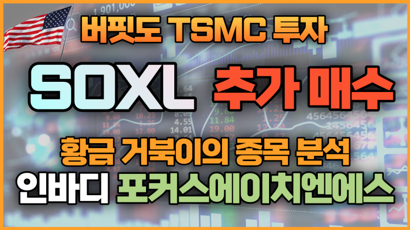 버핏도 TSMC 투자 황금 거북이는 SOXL 추가 매수 인바디와 포커스에이치엔에스 종목 분석까지