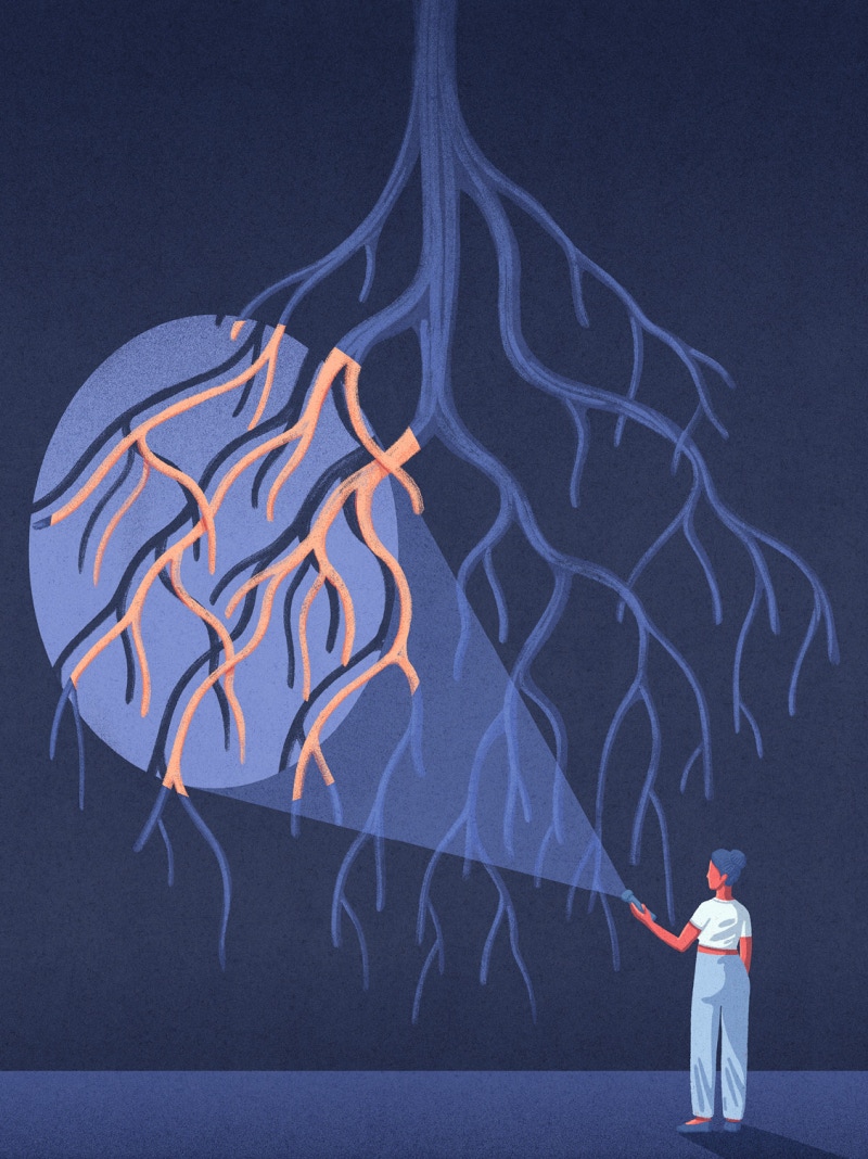 VAGUS NERVE: The body’s information superhighway that tells your organs ...