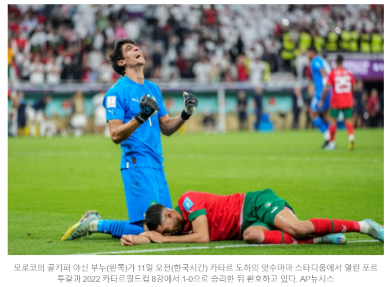 댓글 포트폴리오에 수비수가 될 음식료 관련주 Cj제일제당