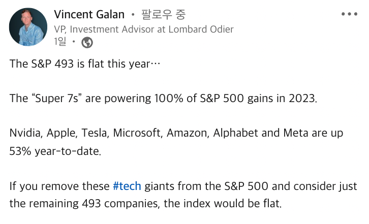 바뀐 게 없는 S&P 493의 실적
