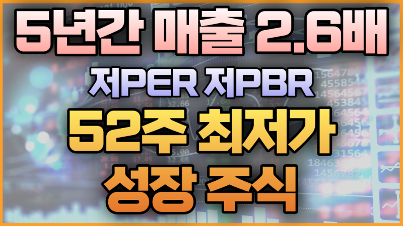 5년간 매출 2.6배 저 PER 저 PBR 52주 최저가 성장 주식