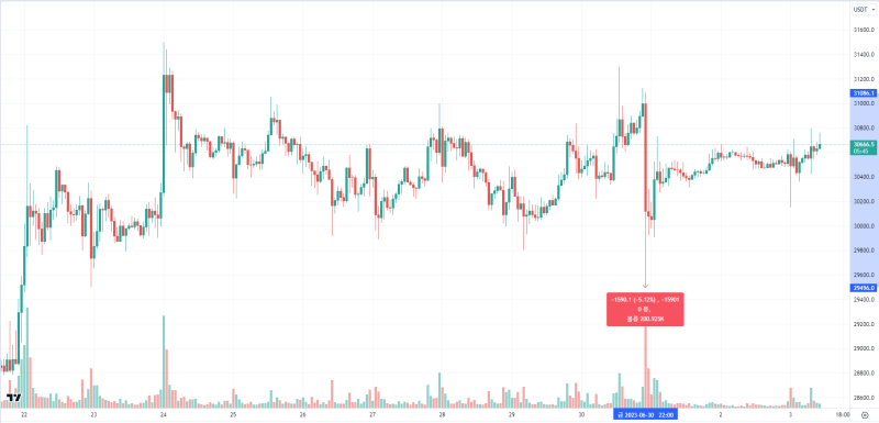 비트코인 현물 ETF (2)