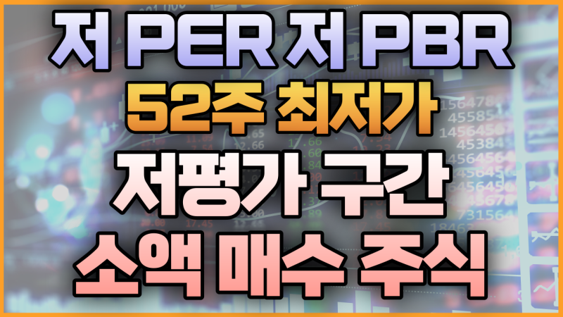 저 PER 저 PBR 52주 최저가 저평가 구간 소액 매수 주식