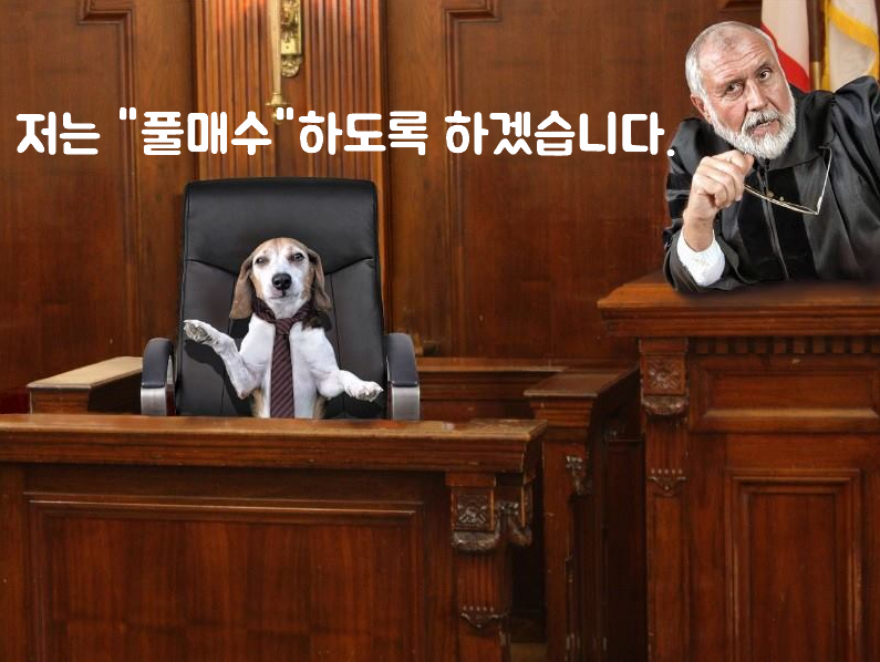 배당 투자 방법론 13 배당주가 지금 싼 가격인지 알아내는 비법 1편 Feat평균 배당률