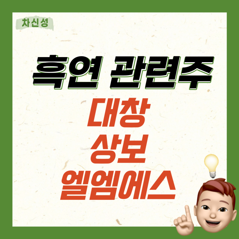 이차전지 음극재 흑연 관련주 대창상보엘엠에스