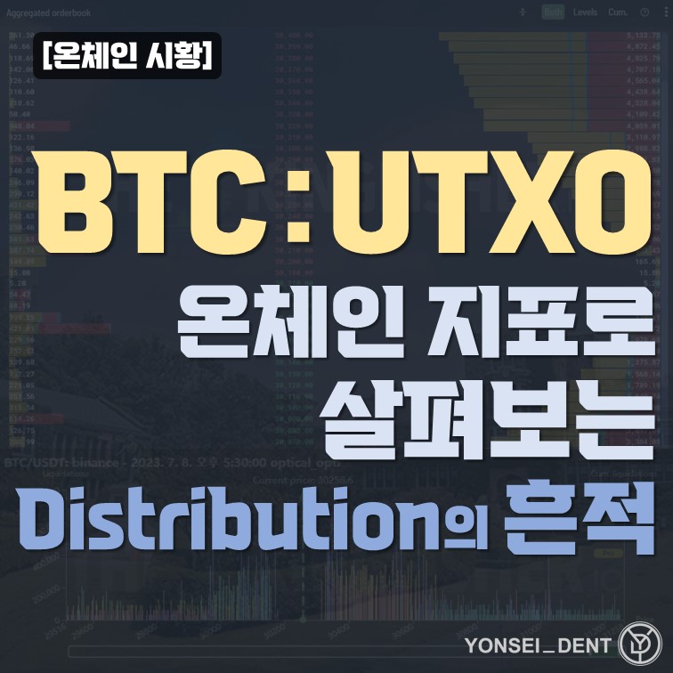 [온체인 시황] BTC : UTXO로 살펴보는 Distribution의 흔적