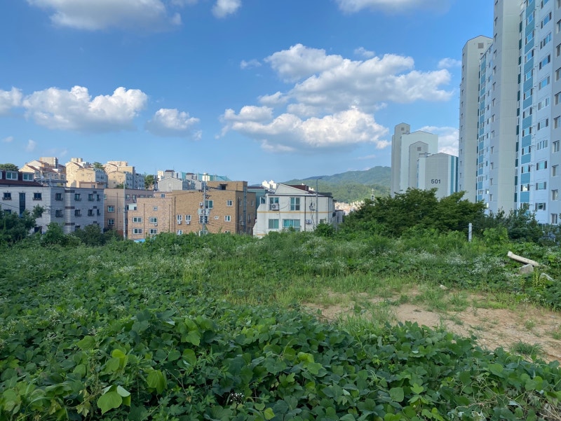댓글 대전 토지매매 땅매매 복수동 전원주택지 테라스힐 토지매매 전문부동산 블루부동산