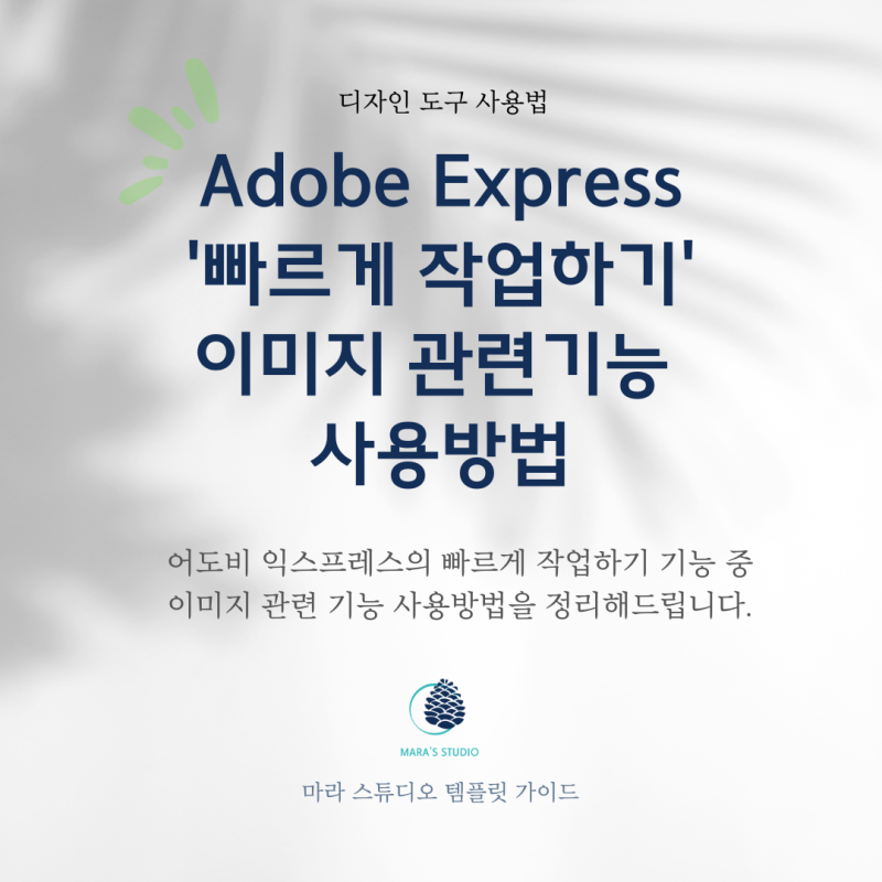 Adobe Express 빠르게 작업하기 이미지 관련 기능 사용방법