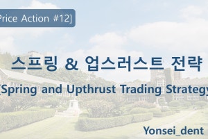 [Price Action #12] 스프링 & 업스러스트 전략 (Spring and Upthrust Trading Strategy)