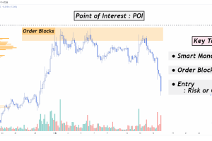 [Price Action #20] POI : Point of Interest