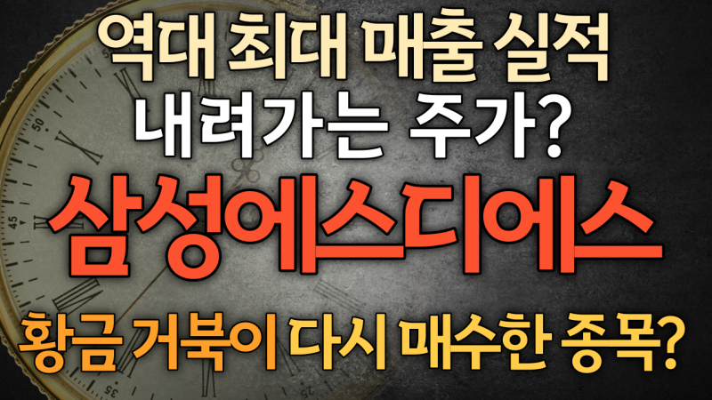 최대 매출 실적에도 내려가는 삼성에스디에스 주가 그리고 황금 거북이가 다시 매수한 종목은
