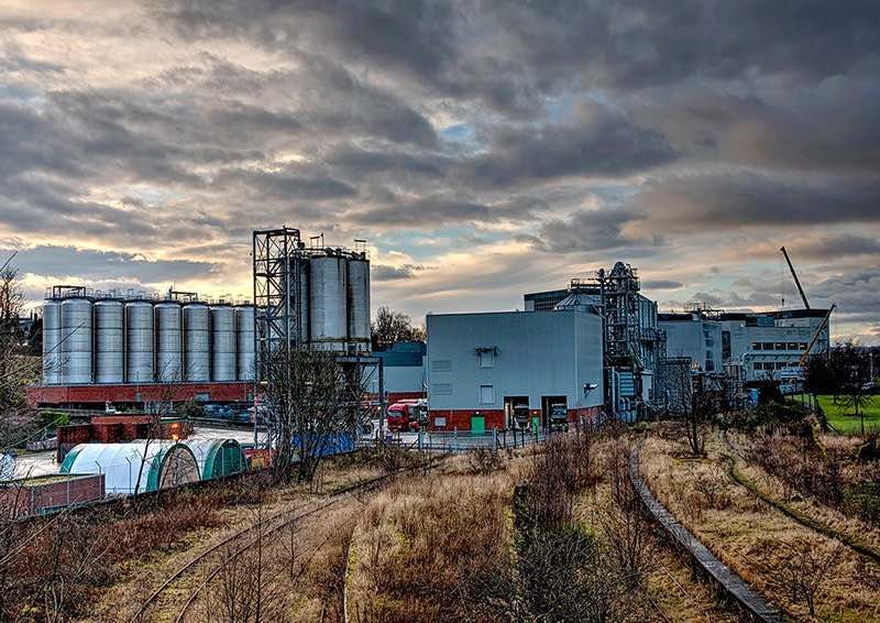 스카치 위스키의 언성 히어로, 카메론 브릿지(Cameron Bridge) 증류소