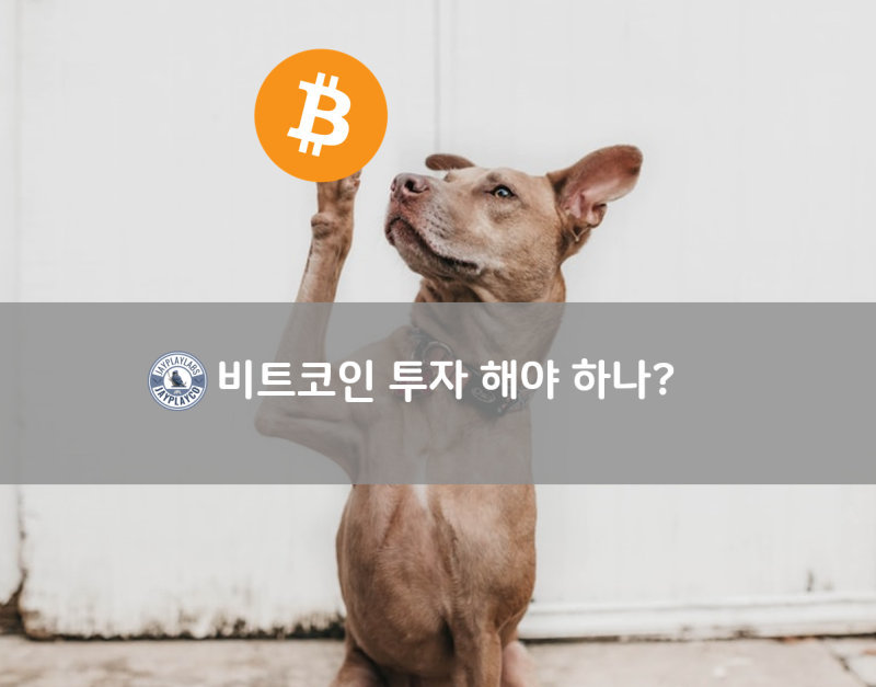 비트코인 투자를 고려하는 분들을 위한 분석