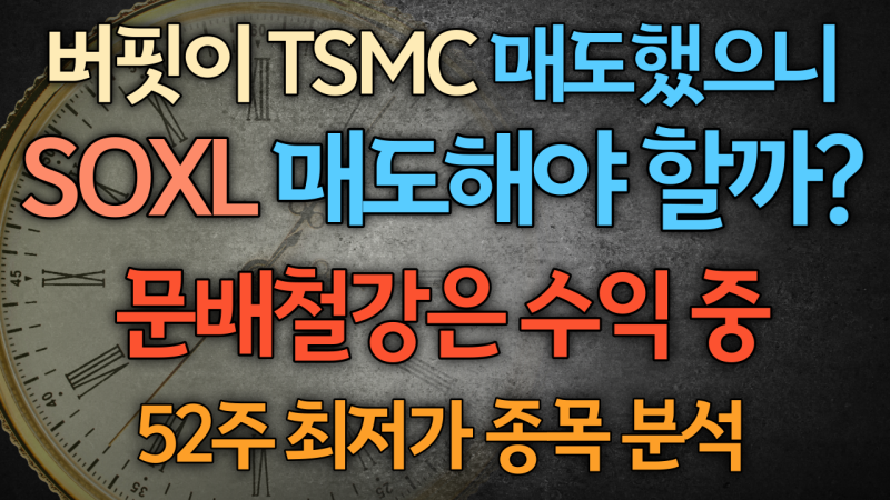 워런 버핏이 TSMC 매도했으니 우리는 SOXL을 매도해야 할까? 문배철강은 수익 중