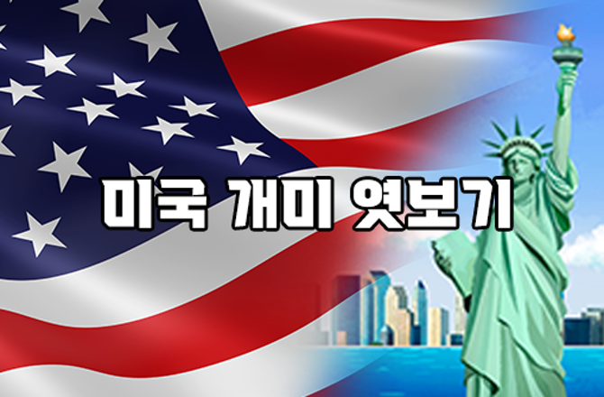 스페이스x의 스타쉽 성공할까 테슬라 인베스터데이 전 최대 이벤트