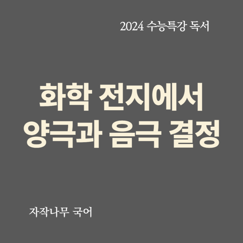 2024수능특강 독서 1부 교과서 개념 학습 화학 전지에서의 양극과 음극의 결정 분석