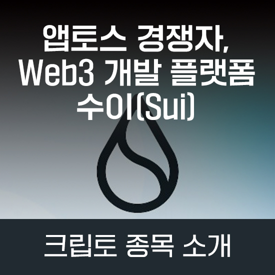 앱토스 경쟁자, Web3 개발 플랫폼 수이(Sui)