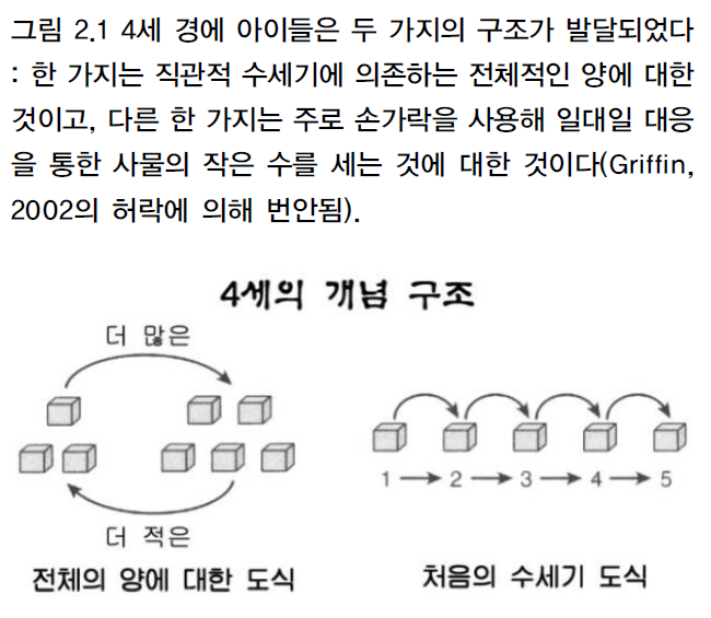 아이들의 수학개념 구조 뇌는 수학을 어떻게 배우는가