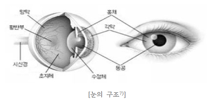 우리의 눈(eye)이 2개인 이유?! ( 도형 속의 IDEA )