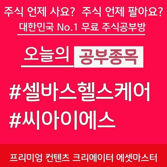 주식공부방 셀바스헬스케어 의료ai관련주 씨아이에스 전력저장장치관련주 기업분석 차트공부 주식교육방 에셋마스터