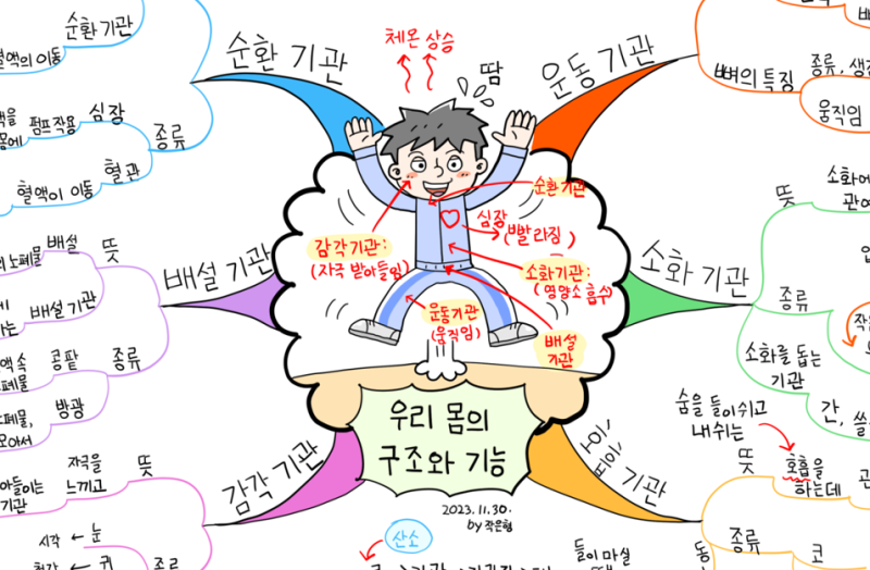 초등 6 2 과학 우리 몸의 구조와 기능