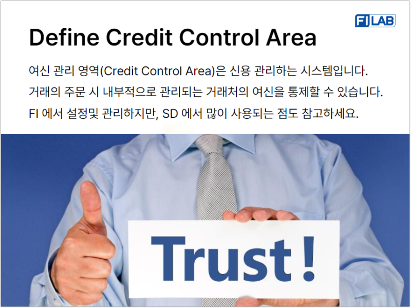 Define Credit Control Area