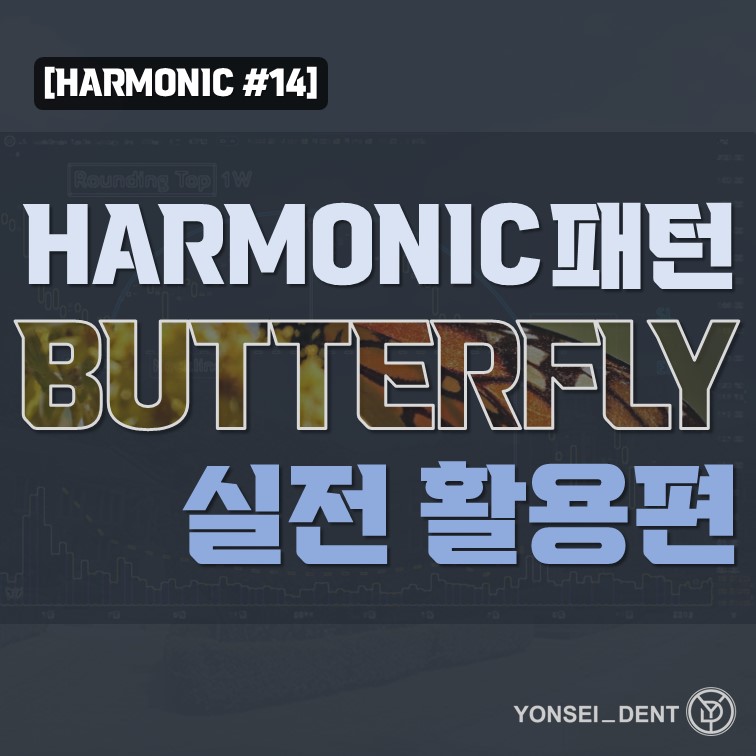 [Harmonic #14] Butterfly 패턴, 실전 활용 사례로 공부하자!