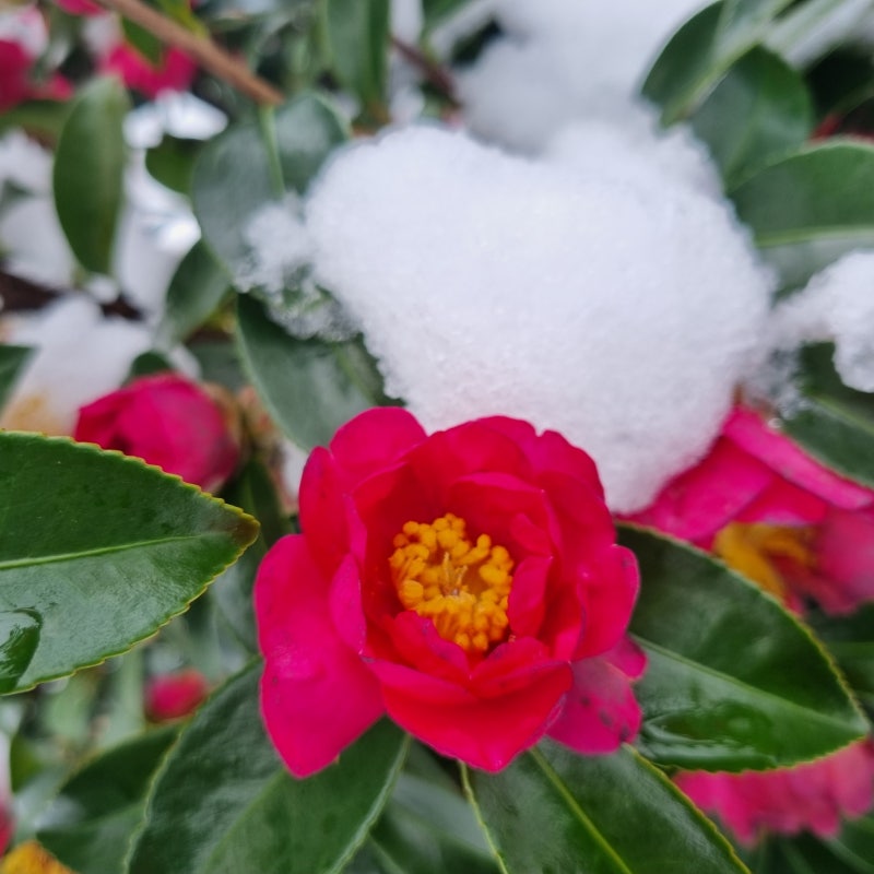 오리지널스, 애덤 그랜트, 한국경제신문 - 나의 창의력을 높이기를 원하는 분에게 추천하는 책 8 - '무려 42%를 차지하는 ...