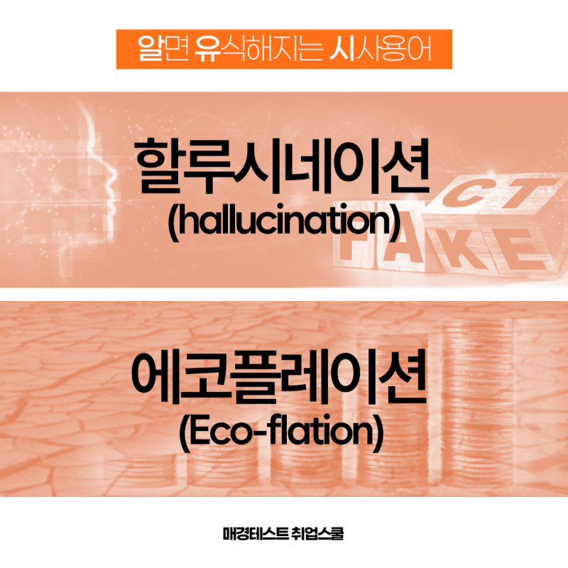 알면 유식해지는 시사용어 - 할루시네이션(hallucination), 에코플레이션(Eco-flation)