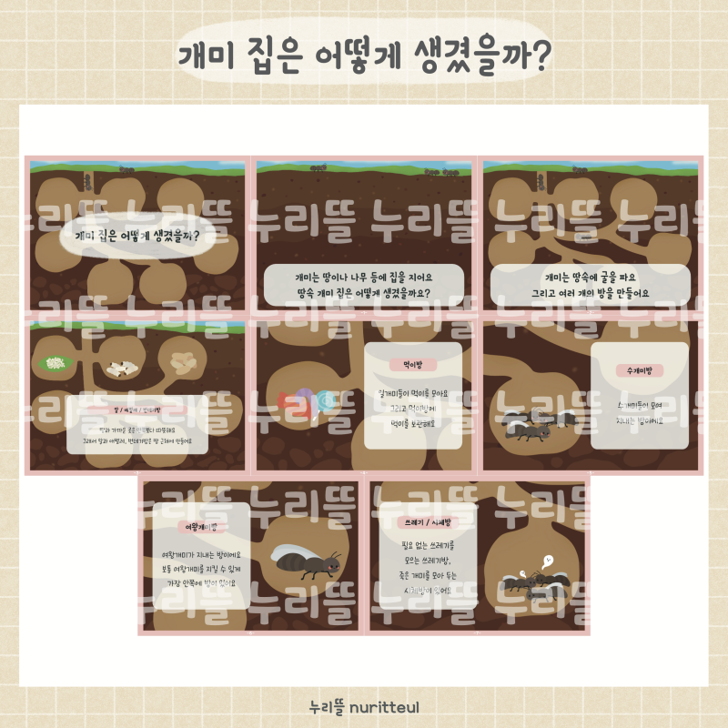 언어과학이야기나누기 개미 집은 어떻게 생겼을까
