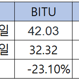 BITU 빚투ETF(비트코인 현물 2배 레버리지) vs BITX (비트코인 선물 2배 레버리지)