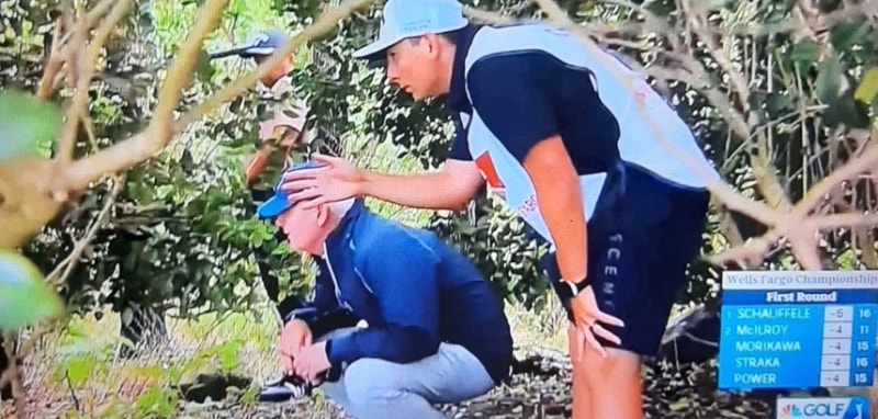 (수정) 깊은 숲에서 TIO 구제 받고 단독선두 질주한 쇼플리…미국PGA투어 웰스 파고 챔피언십 1R,매킬로이·모리카와 등에 3타 앞서…임성재 5위,안병훈·김시우 16위 [동영상]