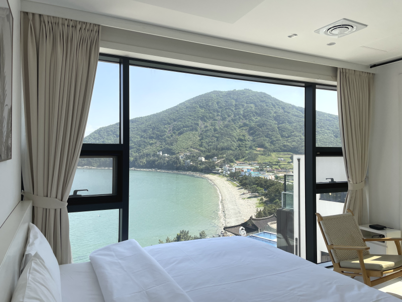 단톡방 안내(리딩방X)