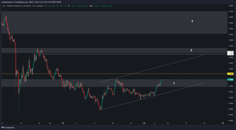 6/7 알트코인 데일리 브리핑 - SUI, CHZ