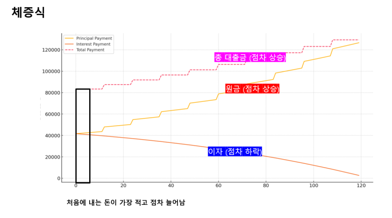 신생아 특례대출 디딤돌 상환방식 체증식 원금균등 원리금균등 장단점 비교