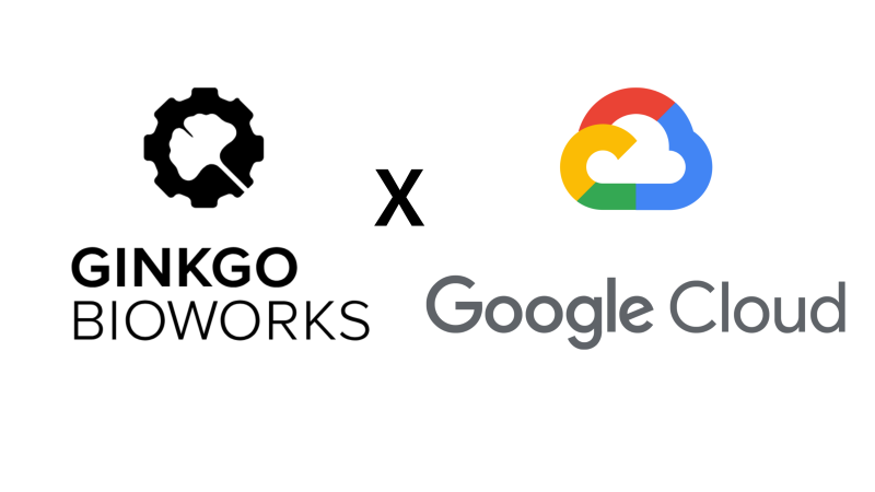 구글의 AI 바이오 산업 본격 진출, 바이오테크 혁명의 시작