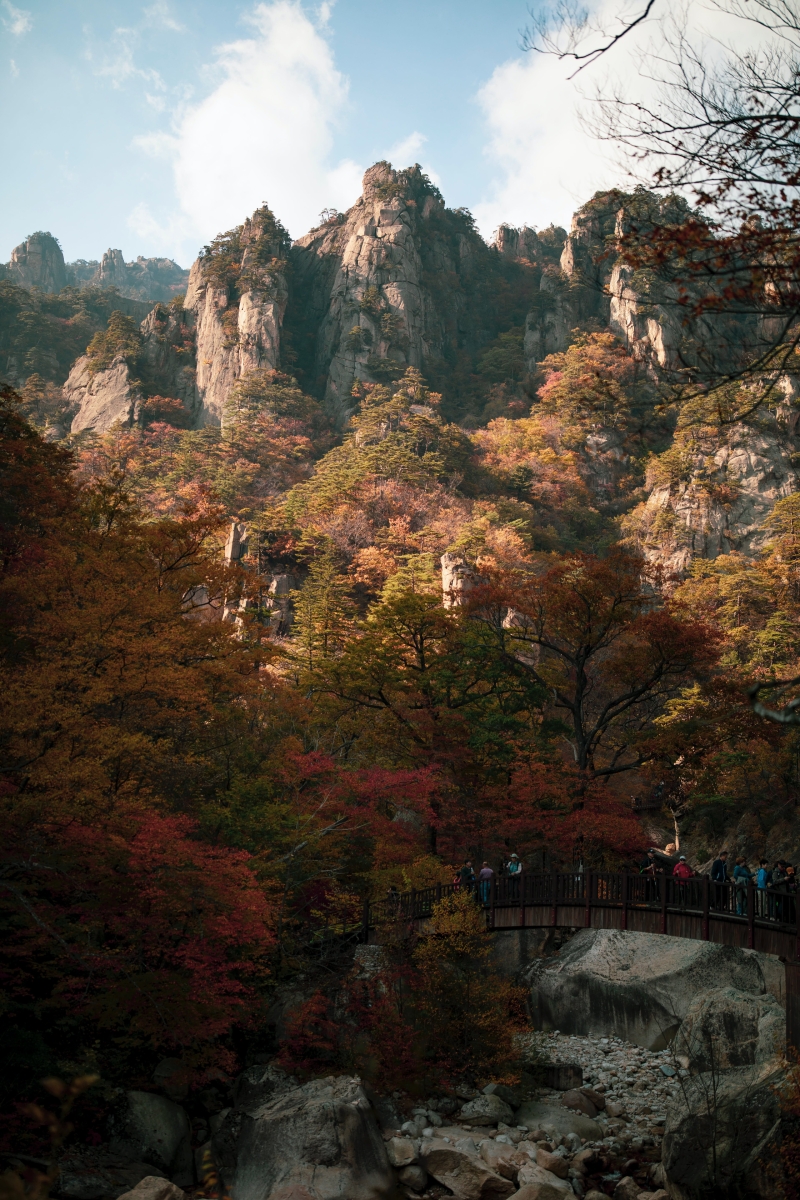인천시 미추홀구 도화동 입지 분석 And 투자 포인트