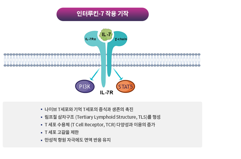 FDA ODD : NT-I7, ARS에 이어 췌장암까지