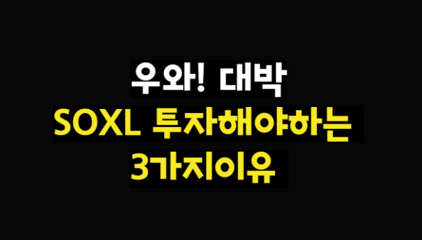 SOXL ETF 투자시 알아야할 특징 3가지 깔끔정리 및 나의 생각은?
