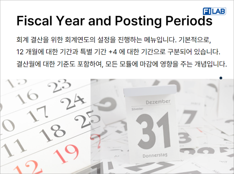 Fiscal Year and Posting Periods
