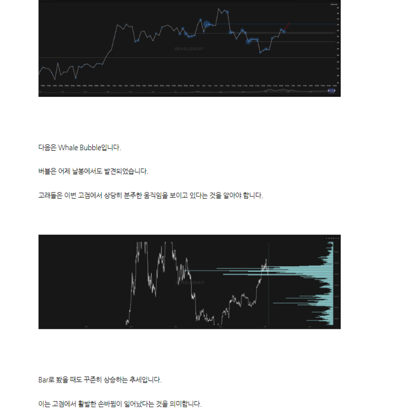 2422 비트코인 데이터 리포트