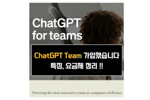 ChatGPT Team 가입했습니다. 특징, 요금제 정리